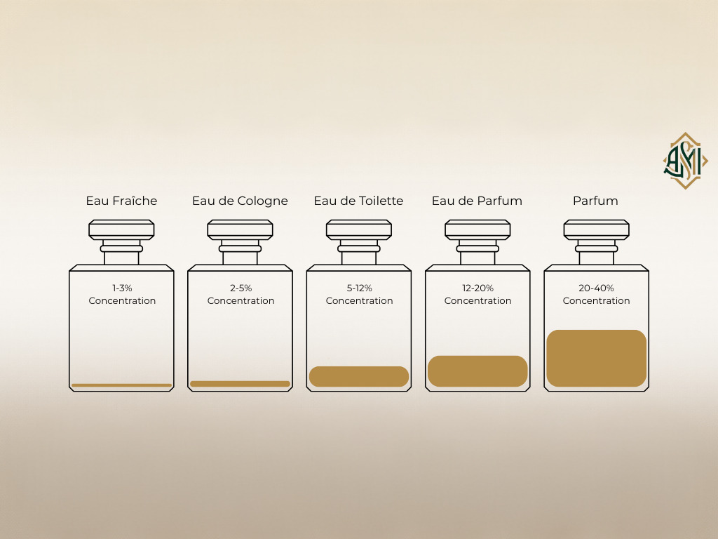 EDT vs EDP vs Parfum | Luxury Perfume Guide | Amani Manor